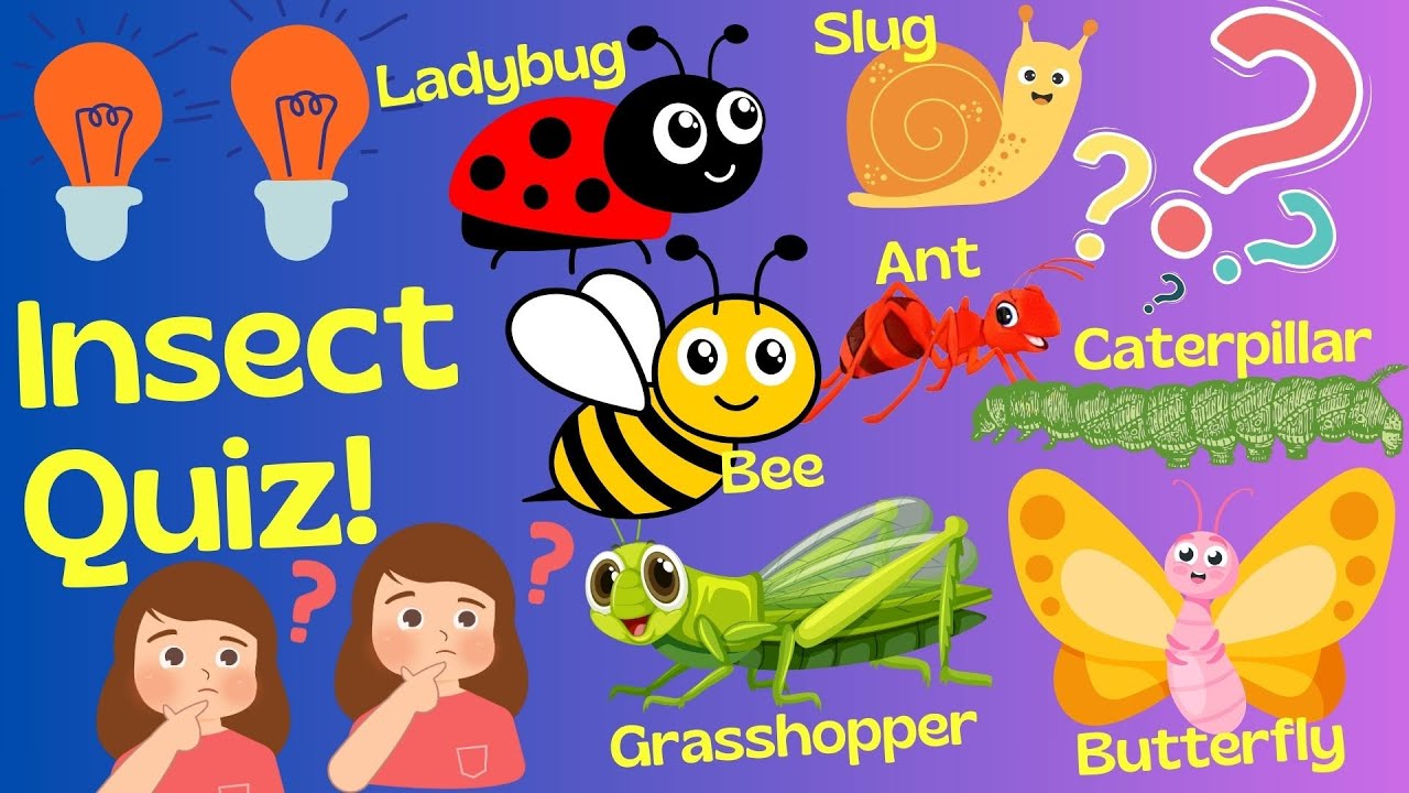 | Quiz Time for Kids | Interactive Trivia Questions & Answers | 30 ...