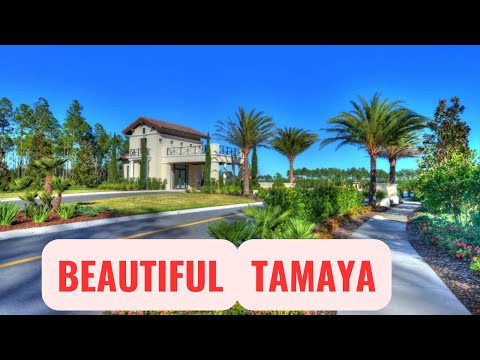 Tamaya Great community  in Jacksonville fl