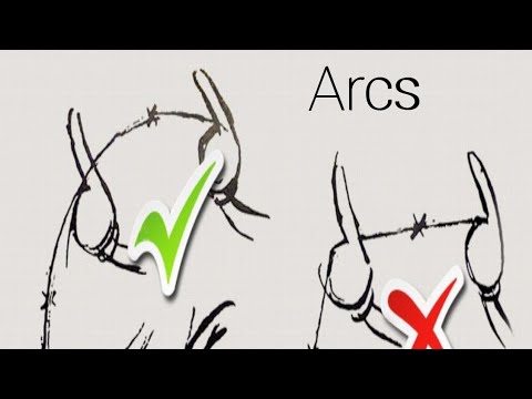 Arcs (Animation) - YouTube