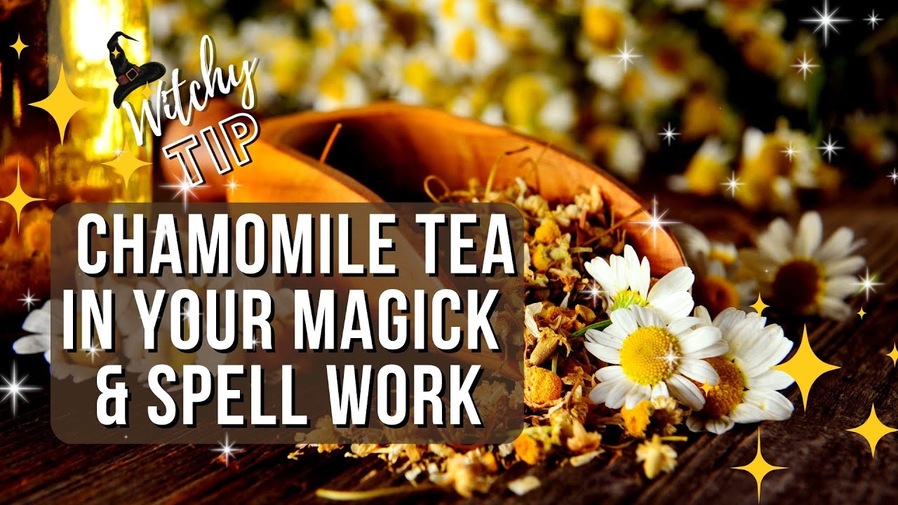 Secrets of Using Chamomile Tea in Your Magick & Spell Work - YouTube