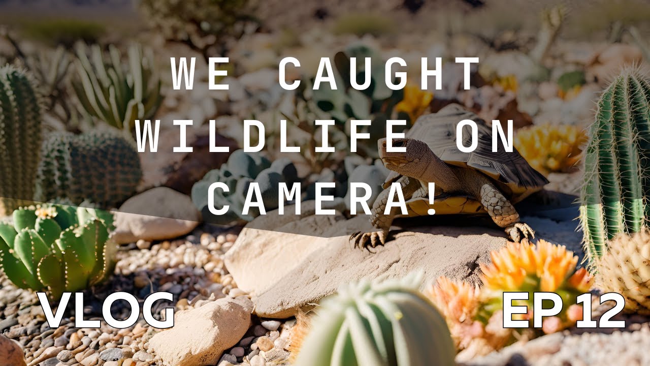 We bought a DESERT to grow plants? - Project Oasis Vlog Ep 12 - YouTube