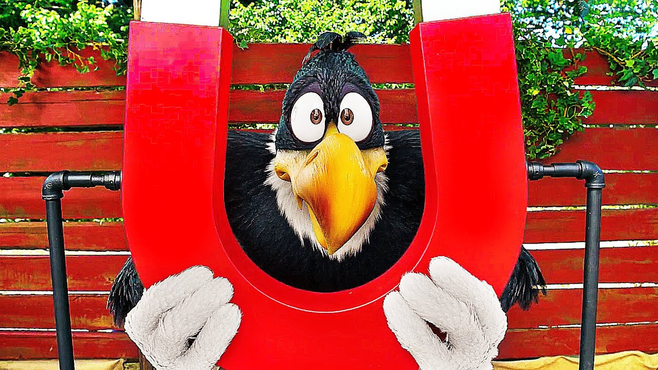 Buzz Attacks Camp Scene | WOODY WOODPECKER GOES TO CAMP (2024) Movie CLIP HD - YouTube