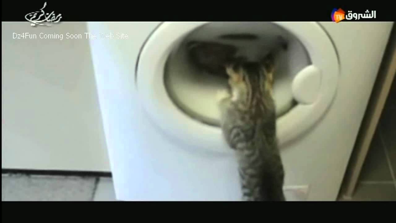 Yakhi Haywan E10 Ramadan 2012 HD - يخي حيوان - YouTube