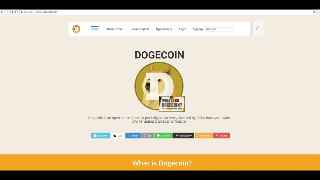 John McAfee PIck of the Week What is Doge Coin Episode 84 - YouTube