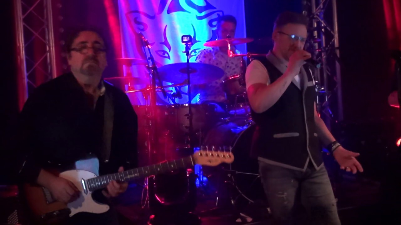 The CATS In The House / Rock 'N Roll - YouTube