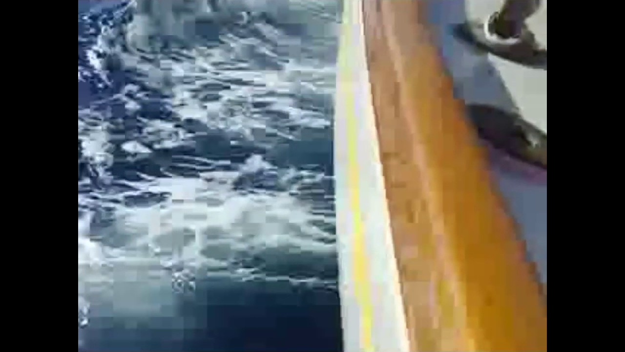 NY19 SIRIUS - YouTube