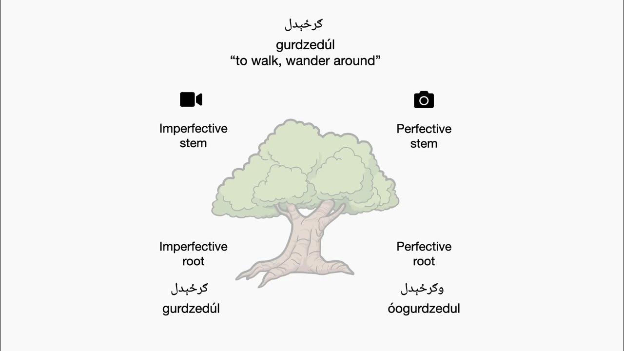 Intro to Pashto Verbs - YouTube