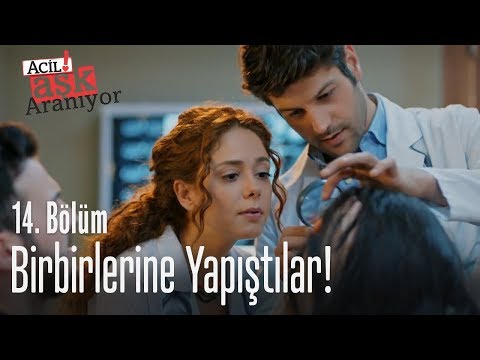 Birbirlerine yapıştılar! - Acil Aşk Aranıyor 14. Bölüm