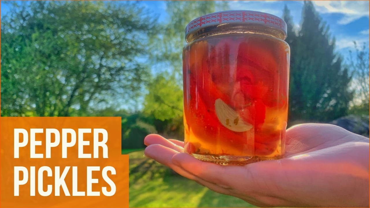 Speca gogozhare turshi/Pepper pickles, grandma recipe/ Cornichons au ...