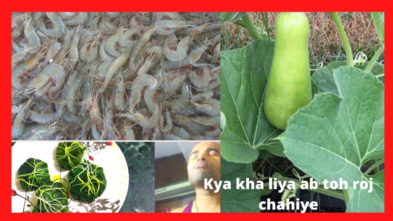 Lokki ka patta jhinga machli coconut🥥 ke sath.. Itna tasty yummy😋 🤤 ...