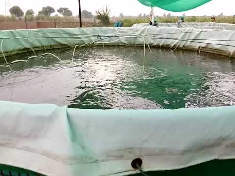 तारपोलिन tarpolin pond for fish - YouTube