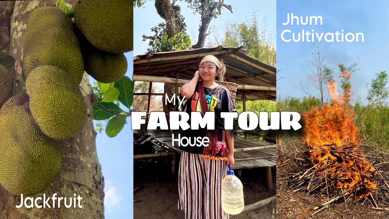 Welcome to our FARM HOUSE || Village life in KARBI ANGLONG || Jhum ...