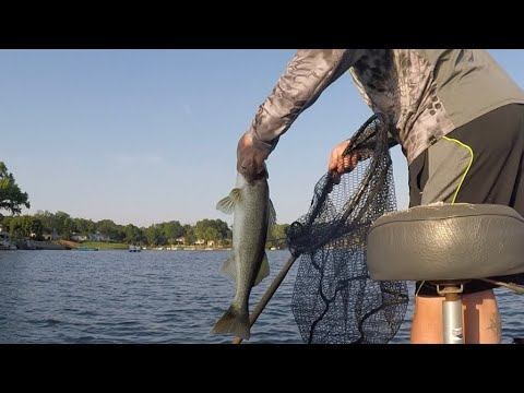 Private Lake Walleye Kansas City Late June - YouTube