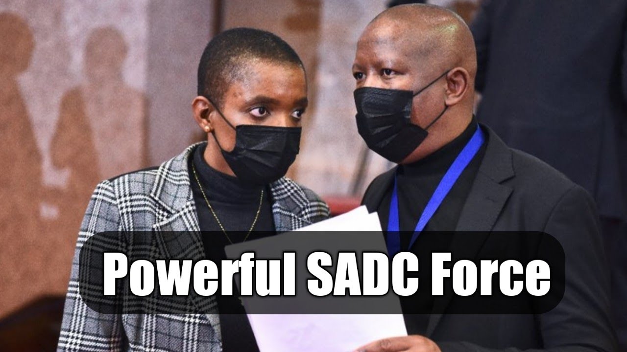 Julius Malema is impressed by PAP Zimbabwean MP - Barbara Rwodzi - YouTube