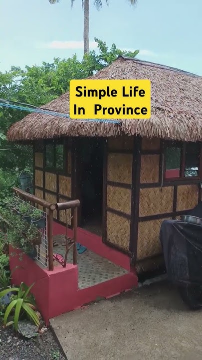 #provincelife #provincelifeinphilippines #province #itsmorefuninthephilippines - YouTube
