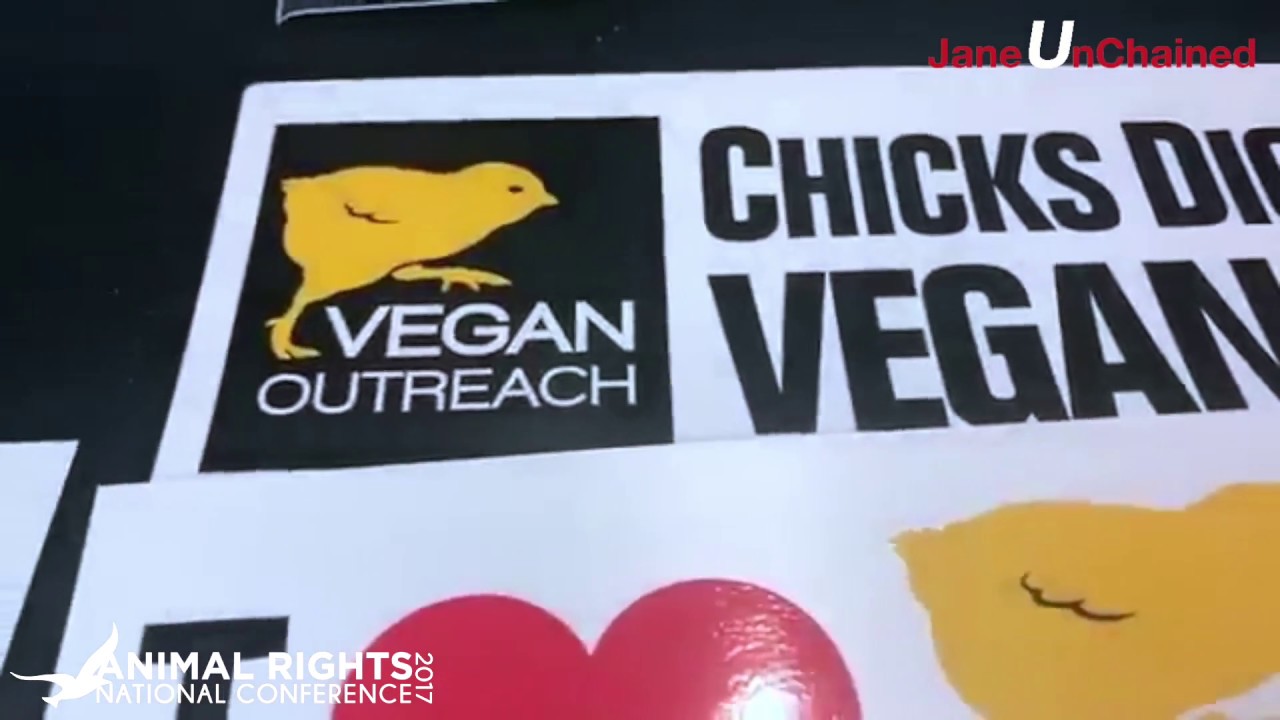 Jane Unchained Tours The AR2017 Exhibit Hall - YouTube