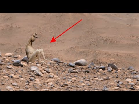 NASA Latest 4k New Video Footage of Mars || Mars 4k Video : Sol 1022 ...