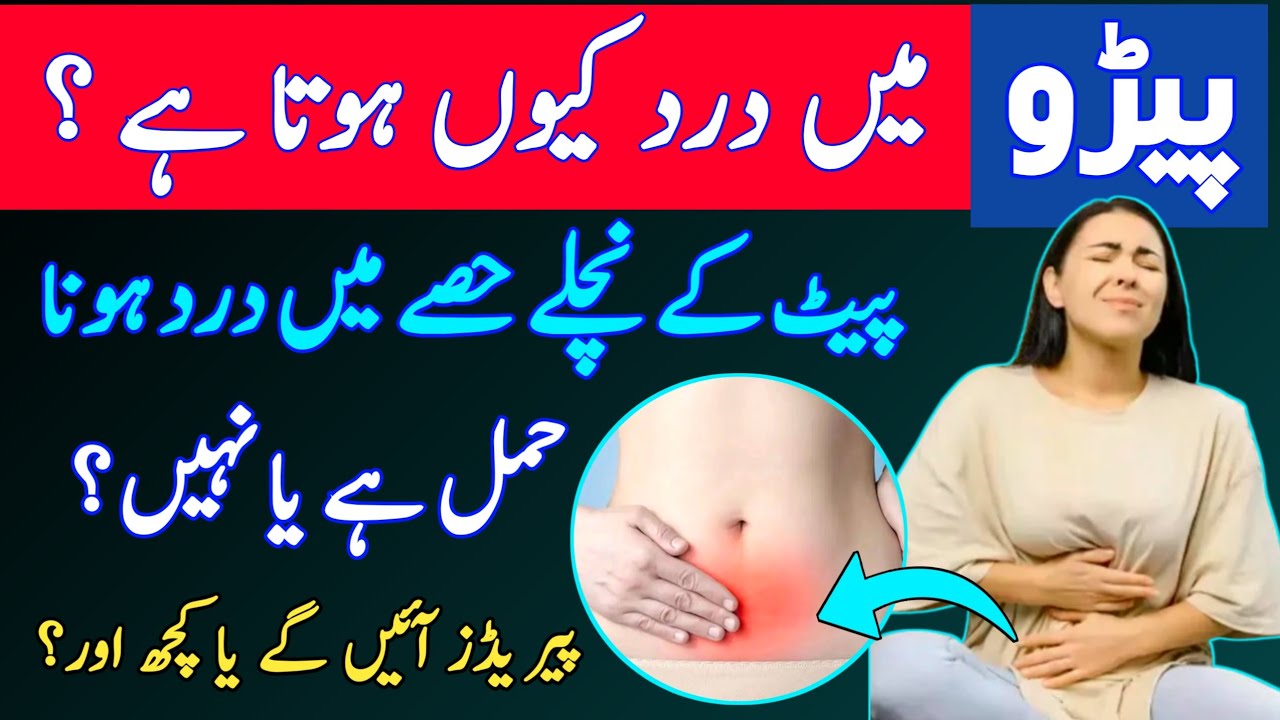 Pet ke Nichle Hisse me Dard Hona |Lower Belly Pain Reason |Lower ...
