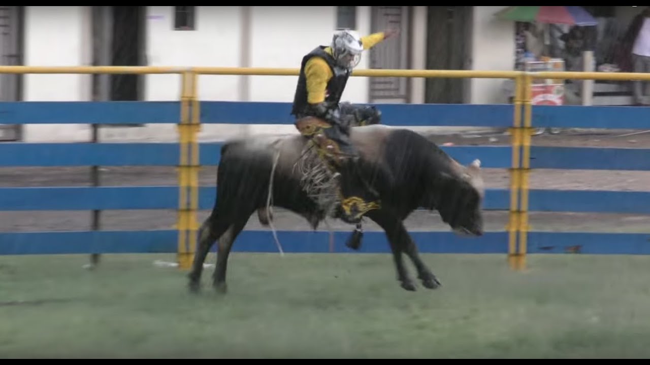 CACTUS RODEO - YouTube