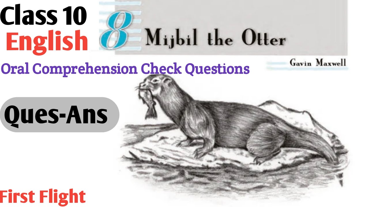 Mijbil The Otter questions answer | Class 10 English Chapter 8 | - YouTube