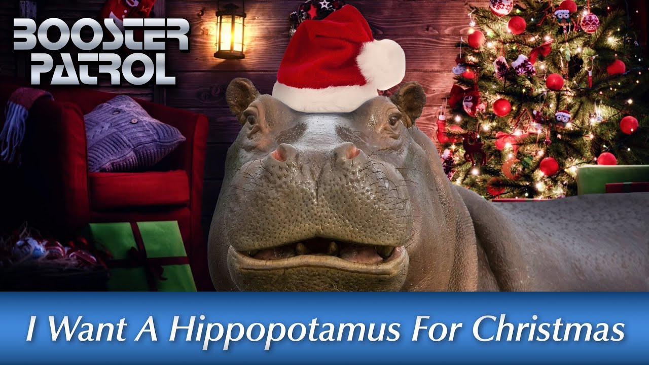 I Want A Hippopotamus For Christmas – Booster Patrol - YouTube