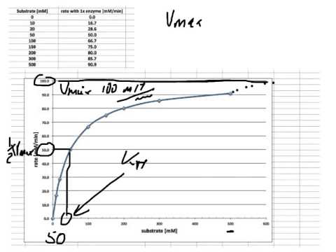 How Does Km Change With An Increase Concnetration Of Enzymes