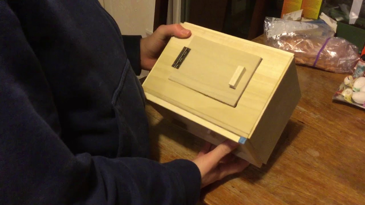 Mark Rober’s Monthly Build 1 - YouTube