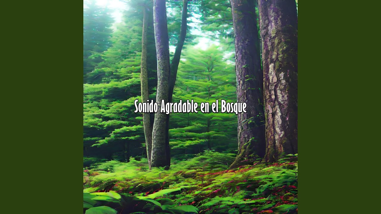 Sonido Agradable en el Bosque - YouTube