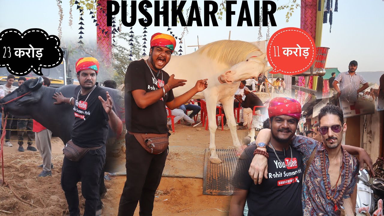 Pushkar Mele Me Aate Hain Expensive Animal 🐎 || Pushkar Mela 🎡 2024 - YouTube