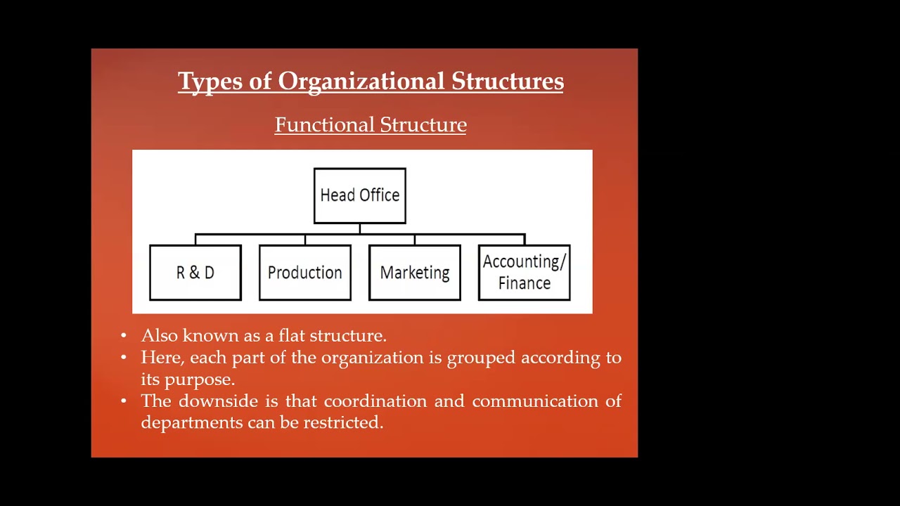 Organizational Structure and Management - YouTube