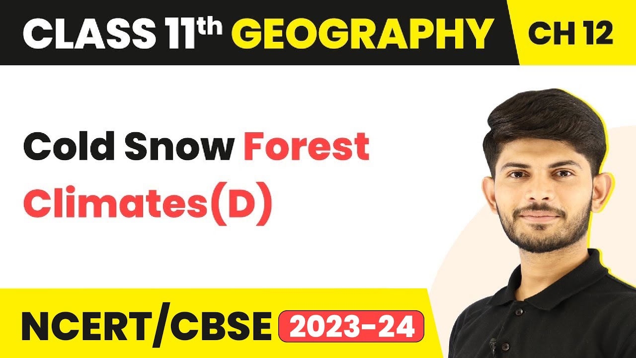 Class11 Geography Chapter 12|Cold Snow Forest Climates(D)-World Climate ...
