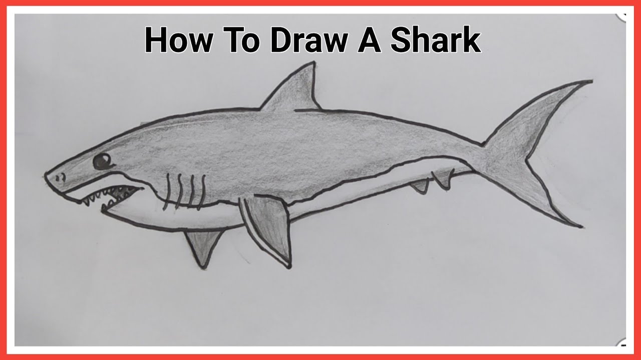 How To Draw A Shark l Shark l Shark Drawing l হাঙ্গর আঁকা l ছবি আঁকা ...