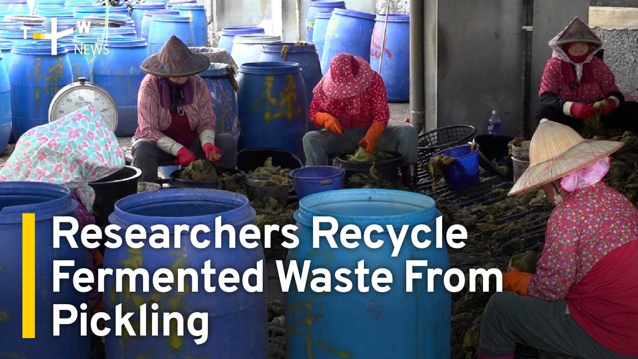 Researchers Find Way To Recycle Fermented Waste From Pickling ...