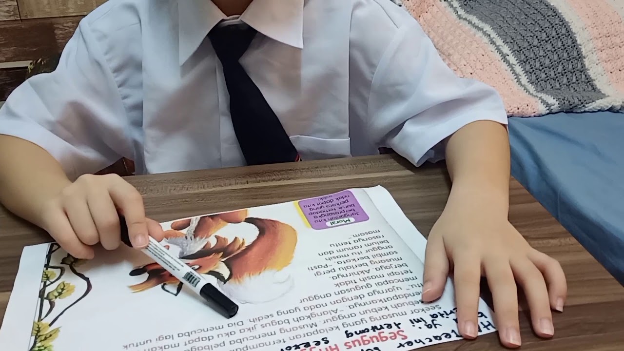 Mark belajar membaca Bahasa melayu story seekor musang dan segugus ...