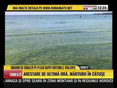 Invazie de alge pe litoral - YouTube
