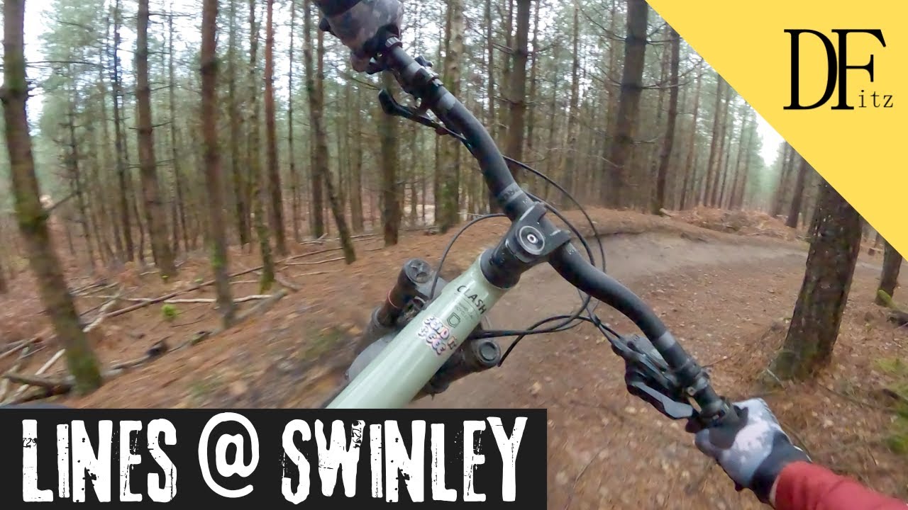 Swinley Forest Bike Cycle Trails // All trails the best trails! - YouTube
