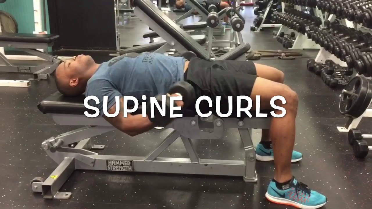 Supine Curls - Biceps - YouTube
