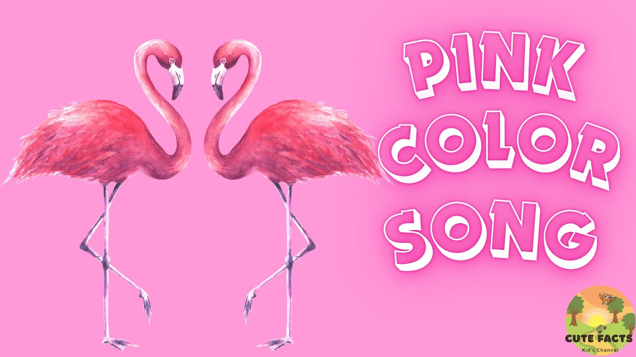 PINK Color Song – Fun & Educational Songs for Kids! | Cute Facts - YouTube
