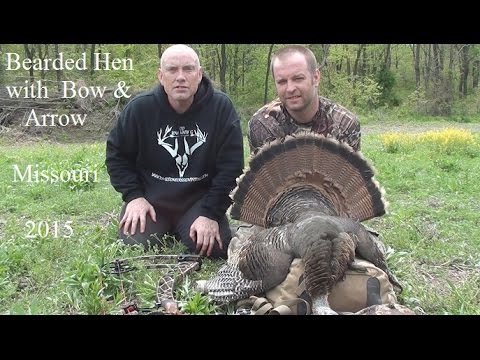 TCO Bearded Hen with a bow story Corey Hayward & Paul Korn - YouTube