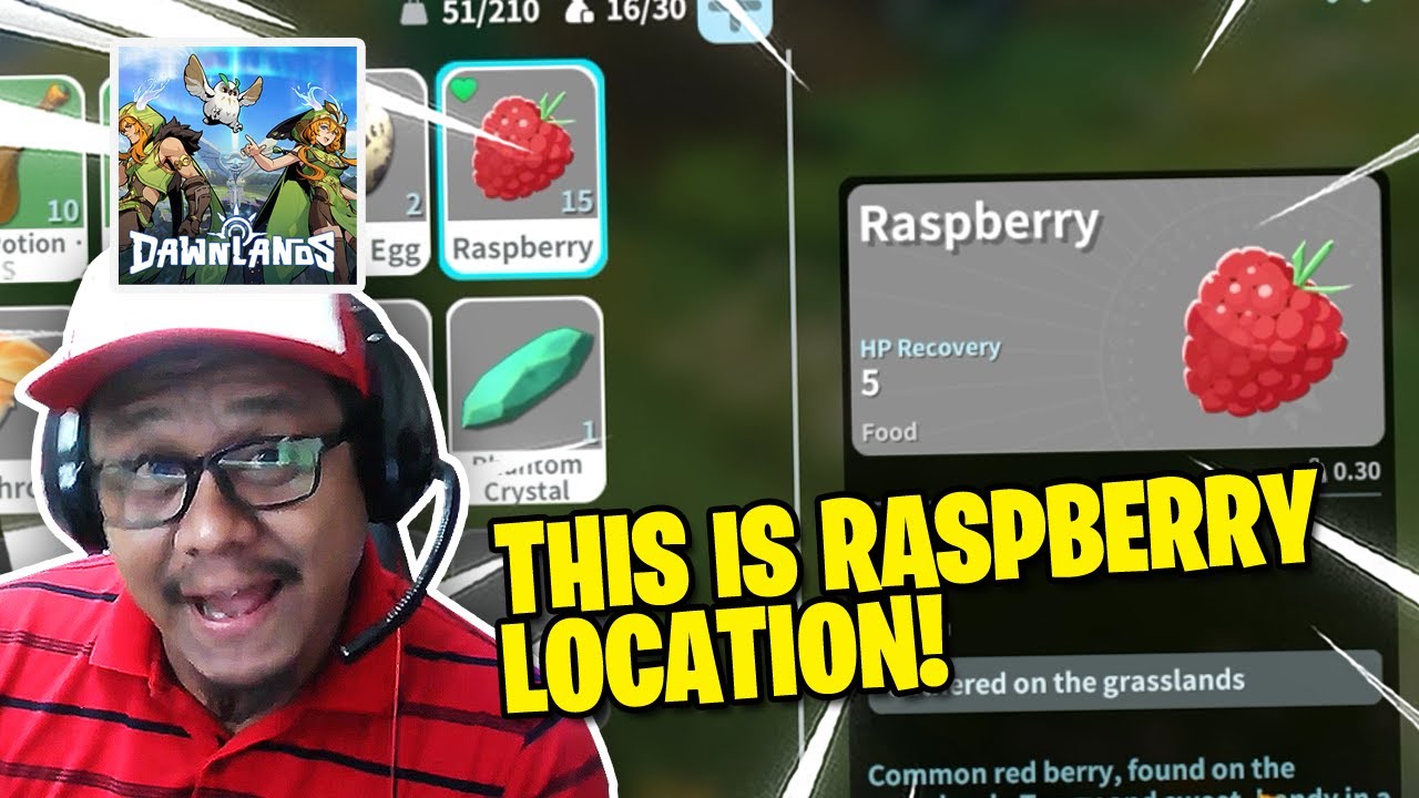 HOW TO FIND RASPBERRY IN DAWNLANDS! - YouTube