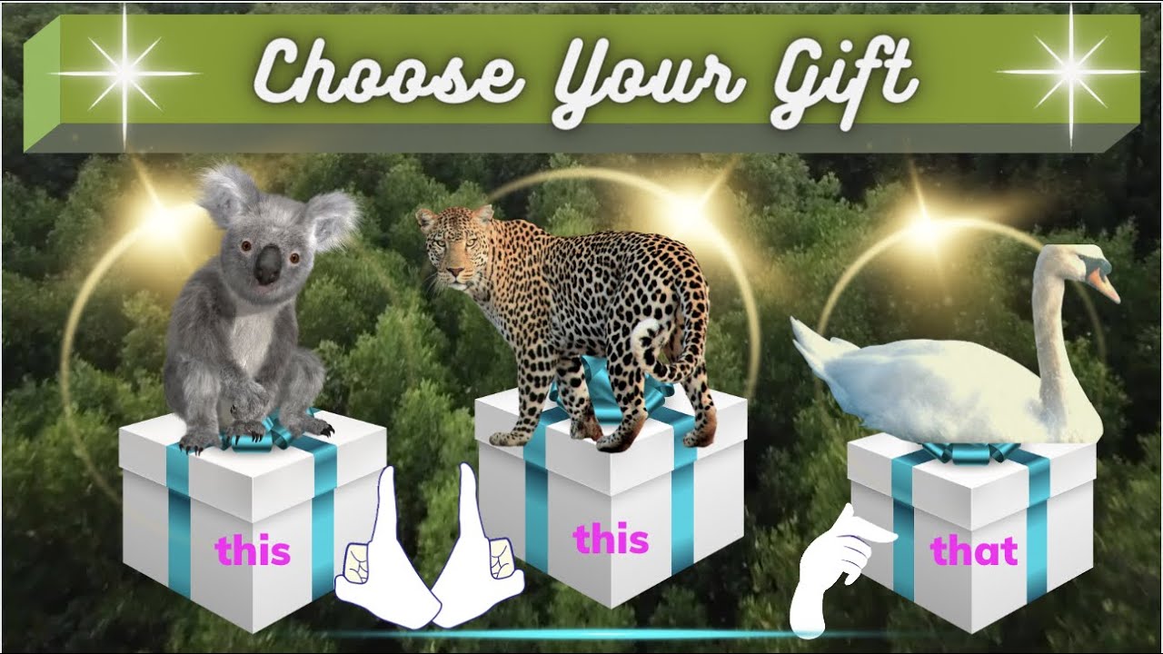 Choose Your Gift 🐾Animals🐾🎁Choisis Un Cadeau 🎁Gift Picking Game 🎁 अपना ...