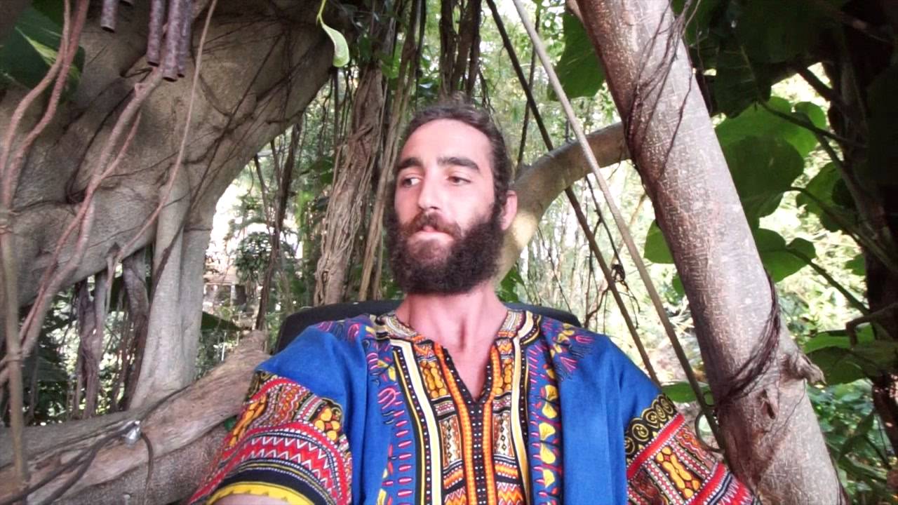 Treehouse from Manoa Park in Honolulu Oahu, Hawaii - YouTube