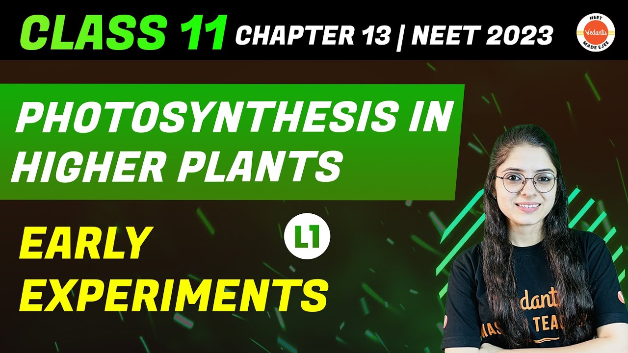 Photosynthesis in Higher Plants Class 11 | Early Experiments Class 11 ...