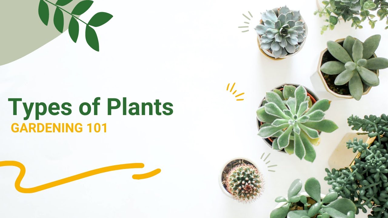 Ep. 01: Understanding Plant Types | Gardening 101 | Learn Gardening the ...