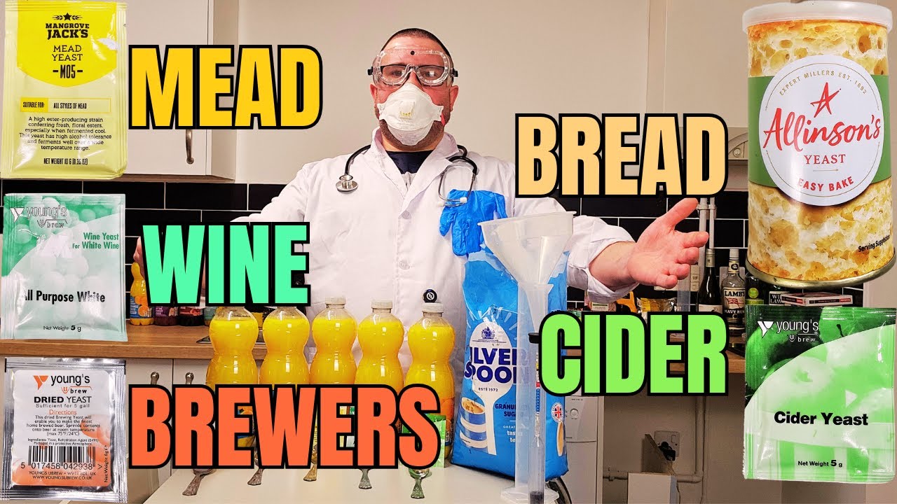 Fermenting orange juice with 5 different yeast strains. Cider, white ...