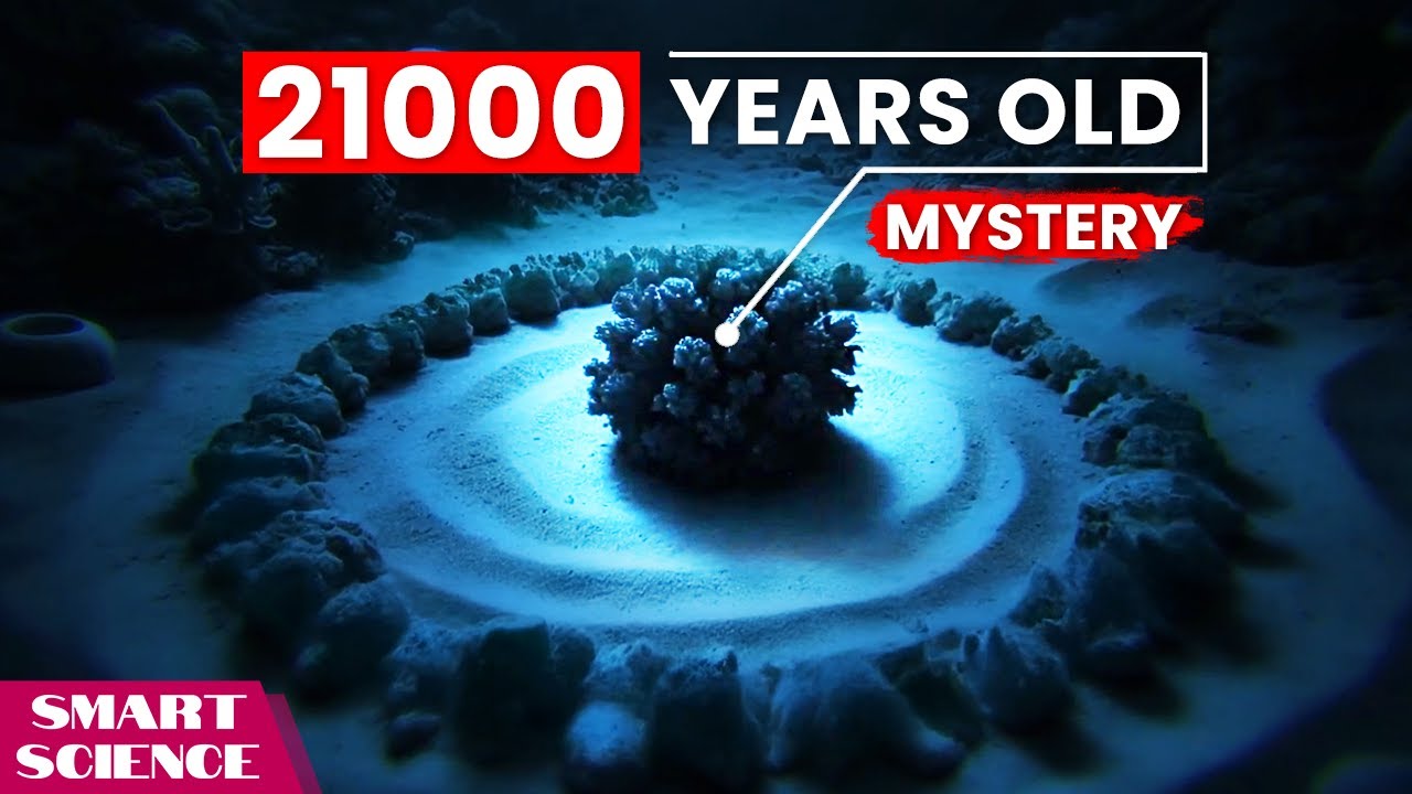 The Science Behind 1300 Perfect Circles on the Mediterranean Sea Floor ...