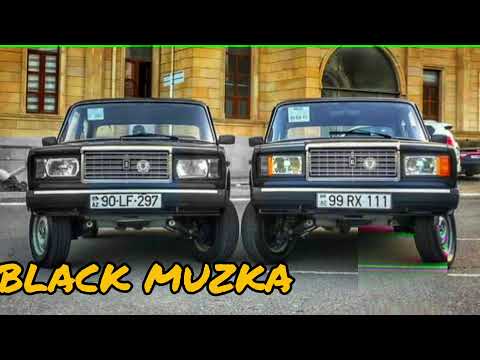 Aysel Zerif Qizdi Zerif Tel Kimi-{Remix ProBeats} Azeri Bass Music 2021