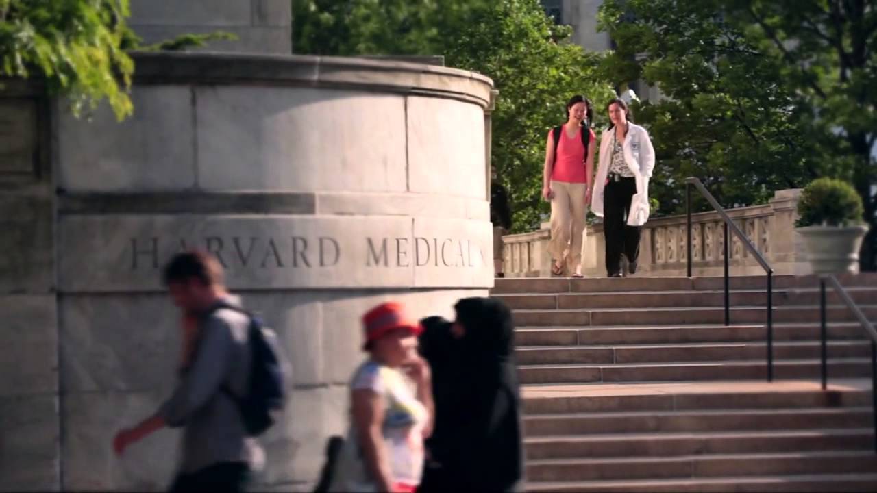 Harvard Medical School - YouTube