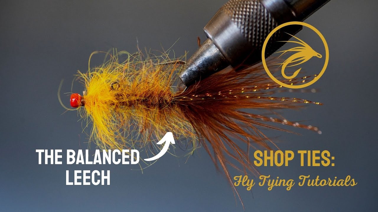 Tying the Balanced Leech | SHOP TIES EP1 - YouTube