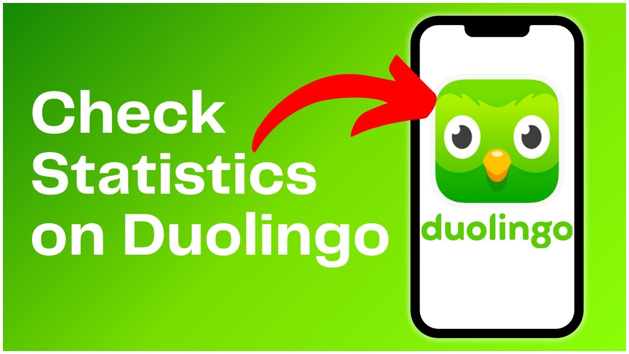 How to Check Statistics on Duolingo? 2024 - YouTube